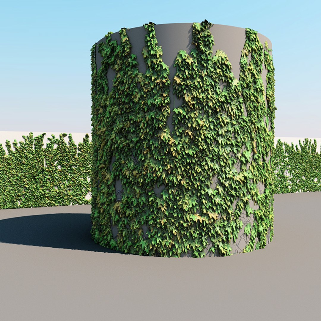 Architectural Ivy - TurboSquid 712827