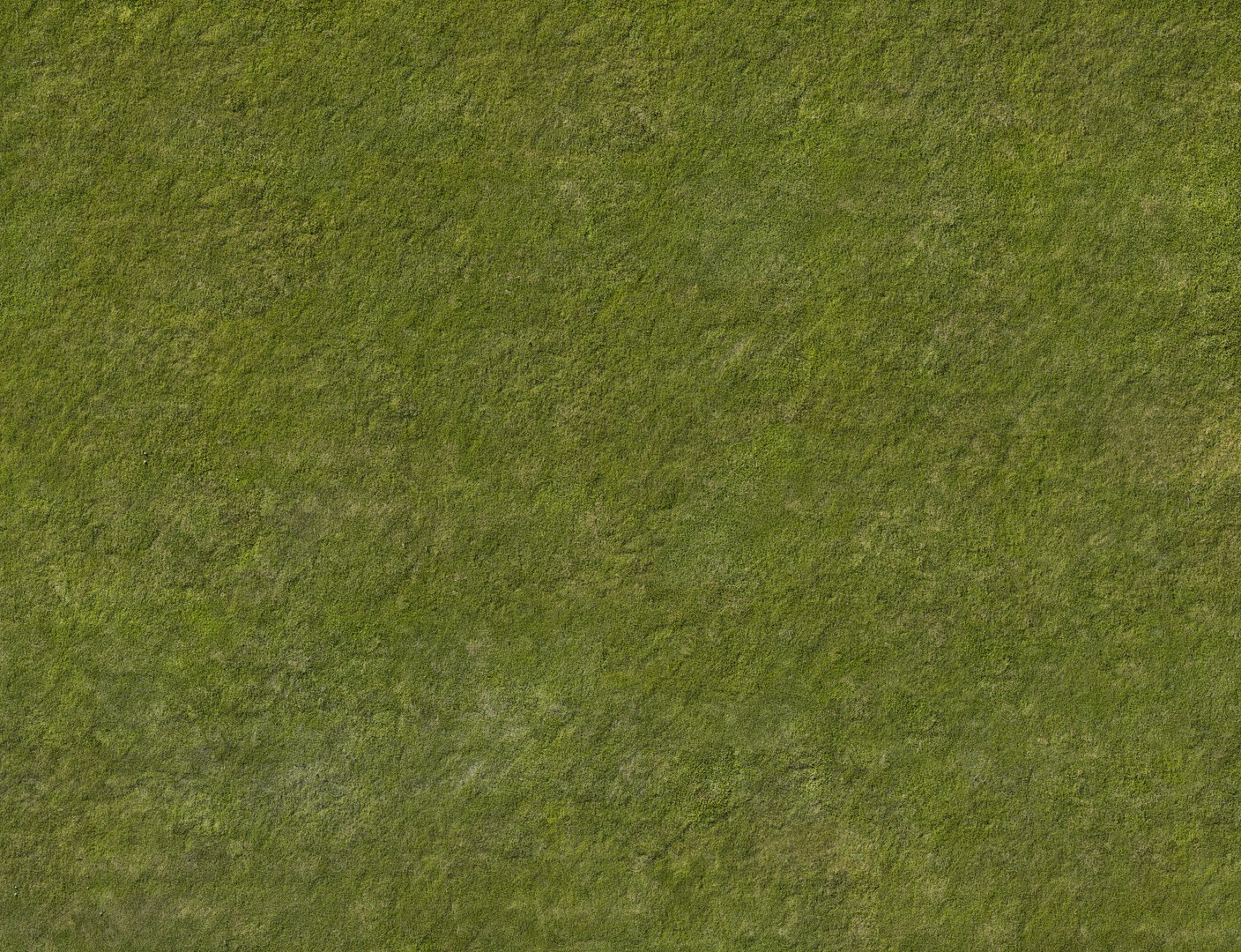 Grass 6K EXR Texture - Huge & Flat - TurboSquid 745474