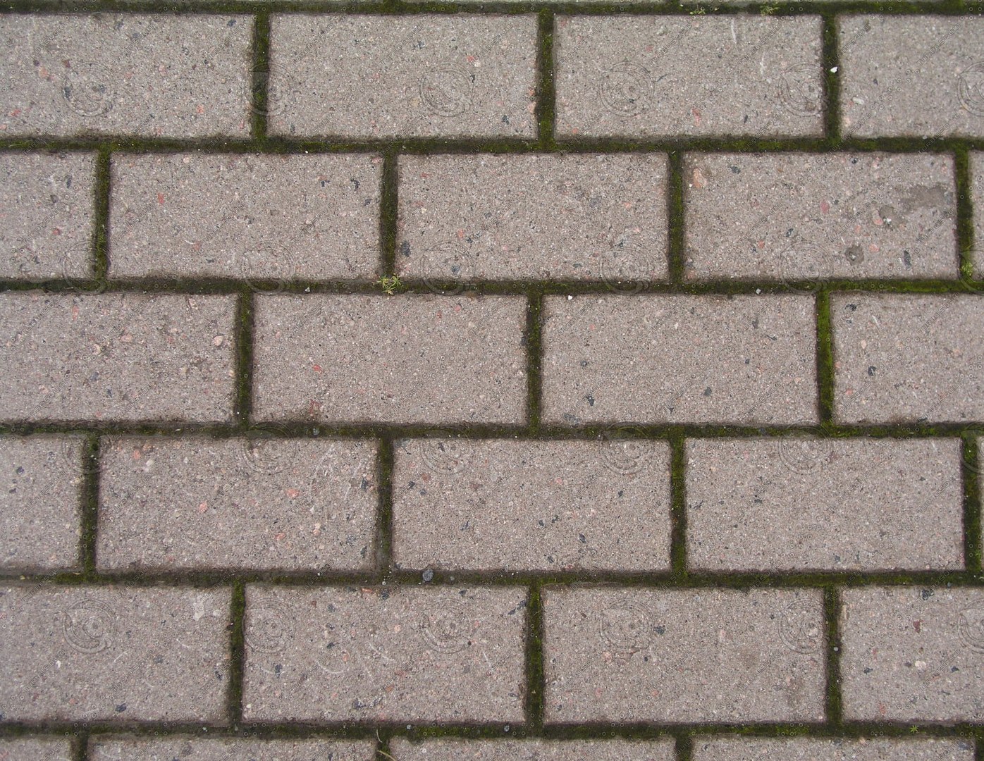 21in1 Best Brick Textures Collection 1 - TurboSquid 775554