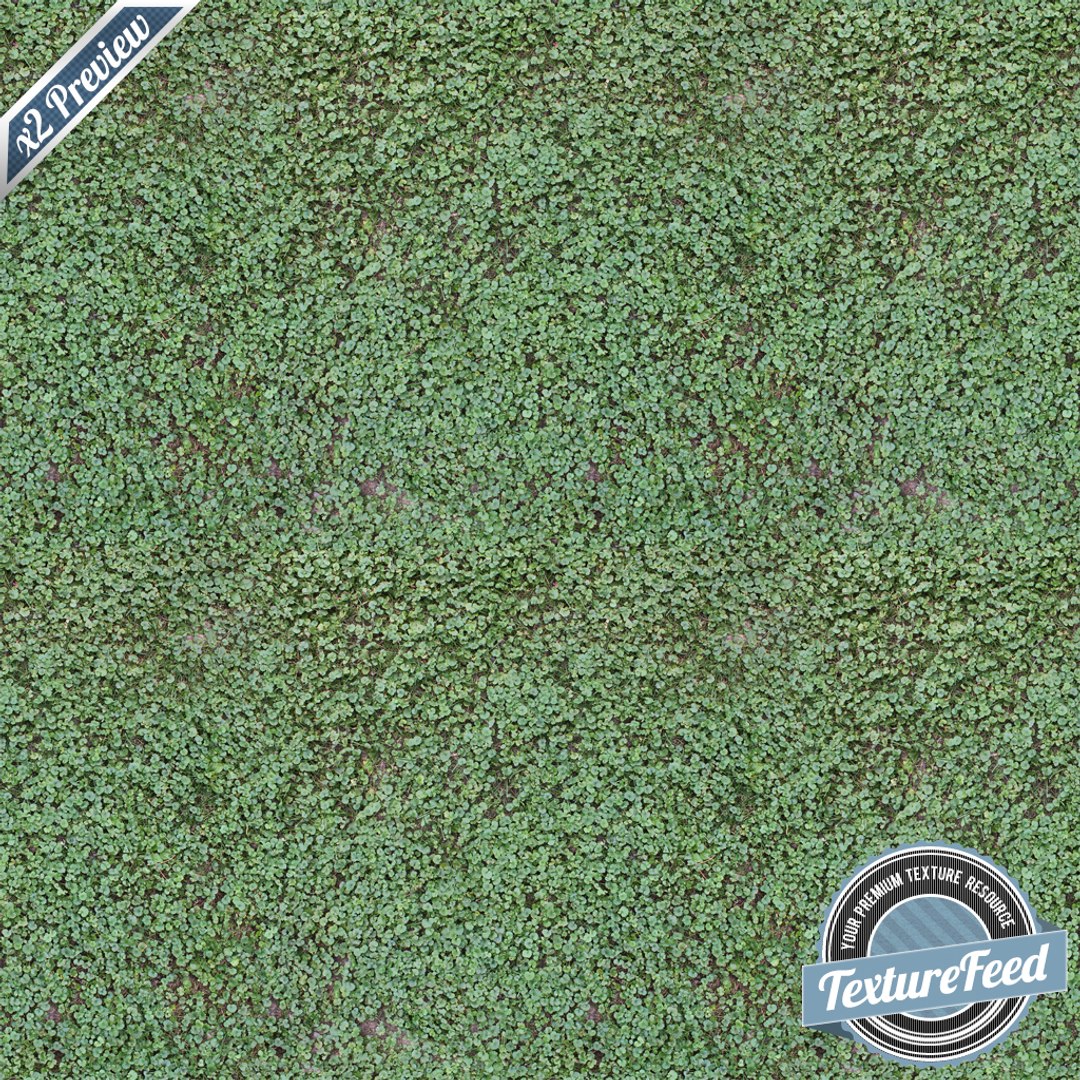 Grass Texture 04 | Tiled - TurboSquid 776044