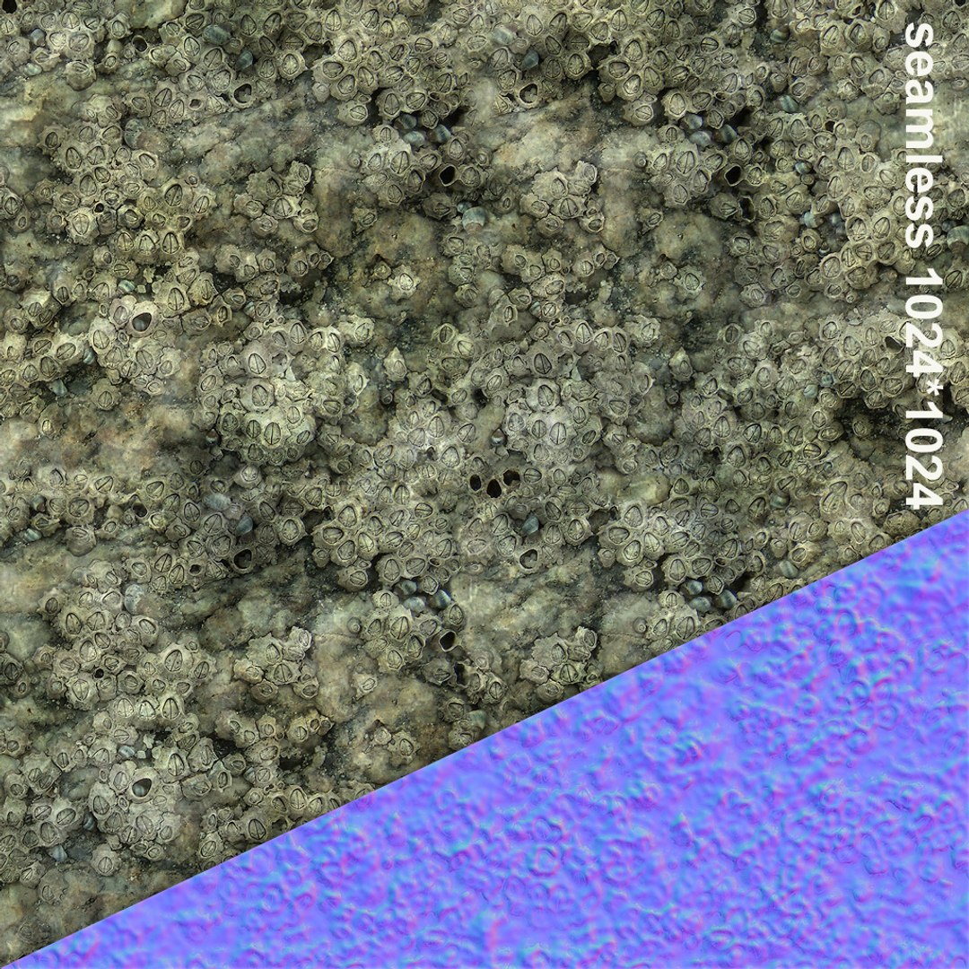 coral textures - TurboSquid 790218