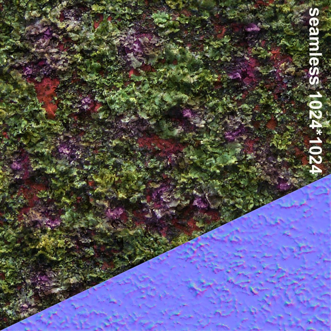 coral textures - TurboSquid 790218