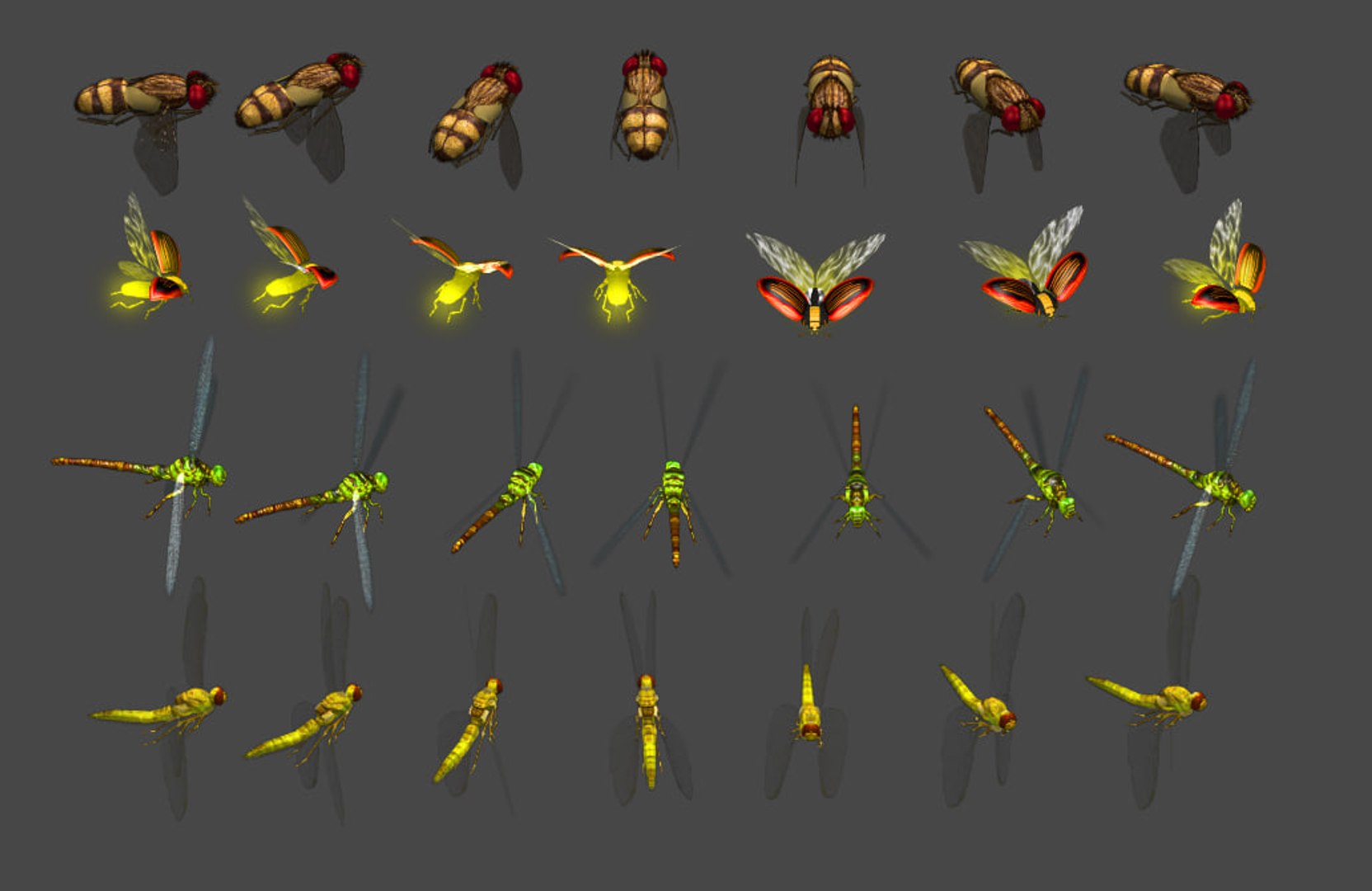 Animated Flying Insects. Dead Insects. Splatters. - TurboSquid 748287