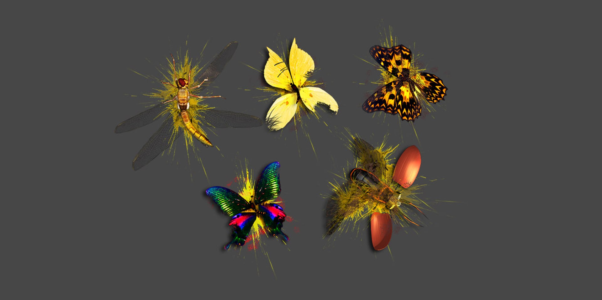 Animated Flying Insects. Dead Insects. Splatters. - TurboSquid 748287
