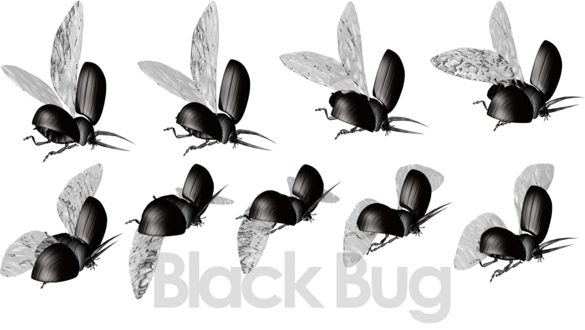 Animated Flying Insects. Dead Insects. Splatters. - TurboSquid 748287
