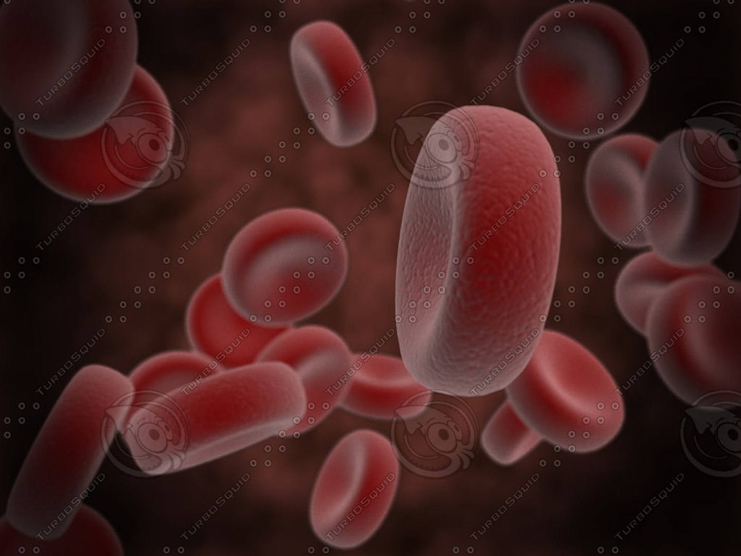 Microbiology Primitives(1) - TurboSquid 757256