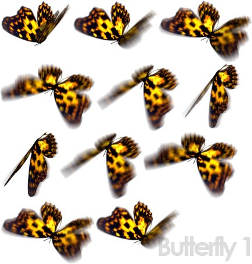 Animated Flying Insects. Dead Insects. Splatters. - TurboSquid 748287