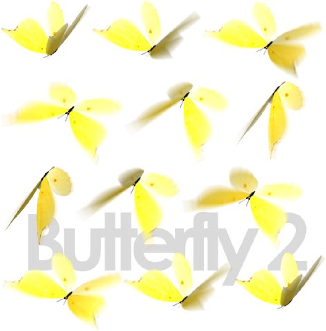 Animated Flying Insects. Dead Insects. Splatters. - TurboSquid 748287