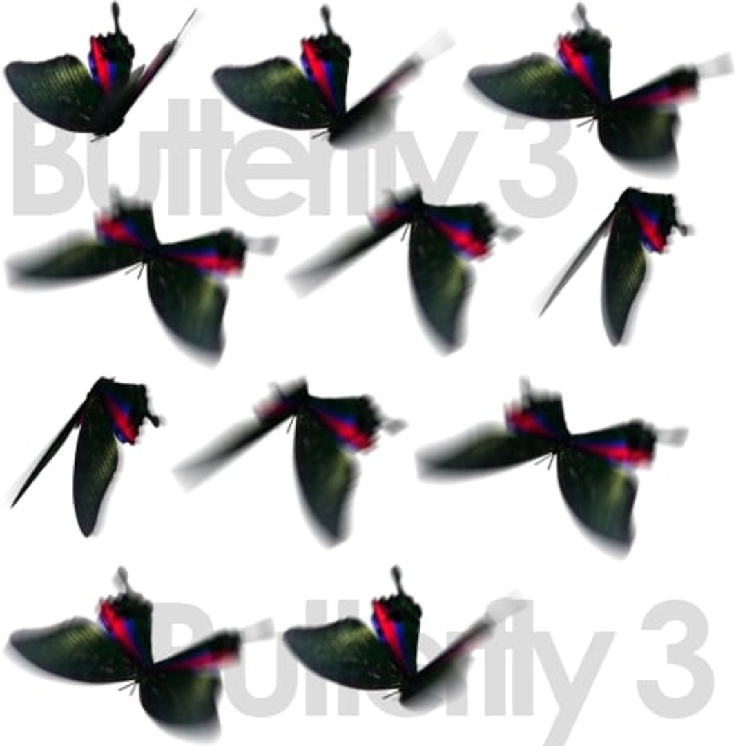 Animated Flying Insects. Dead Insects. Splatters. - TurboSquid 748287