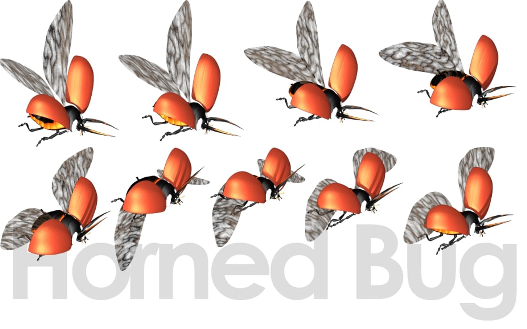 Animated Flying Insects. Dead Insects. Splatters. - TurboSquid 748287