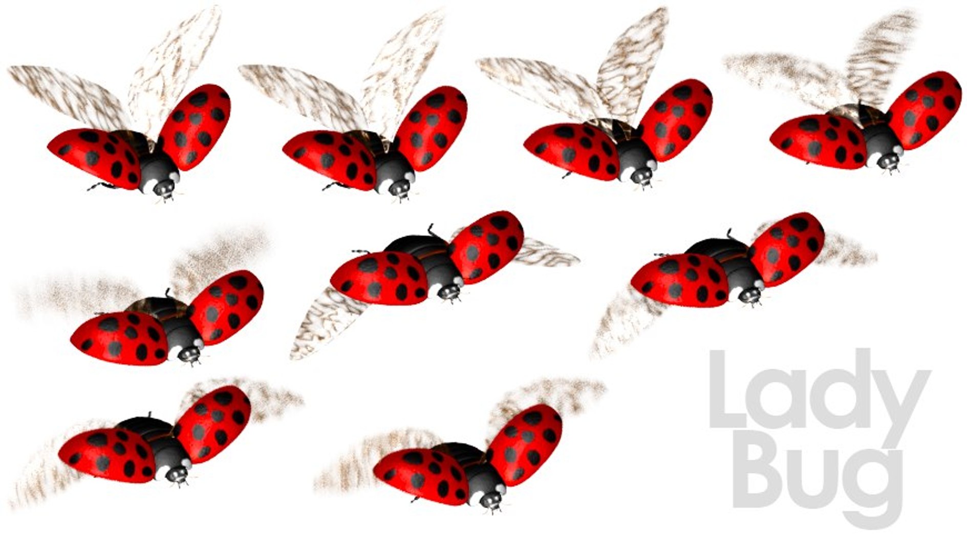 Animated Flying Insects. Dead Insects. Splatters. - TurboSquid 748287