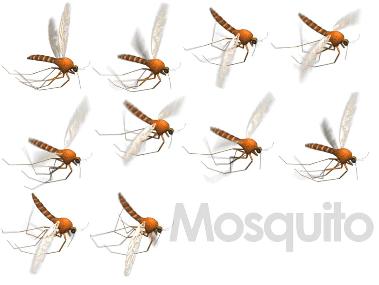 Animated Flying Insects. Dead Insects. Splatters. - TurboSquid 748287