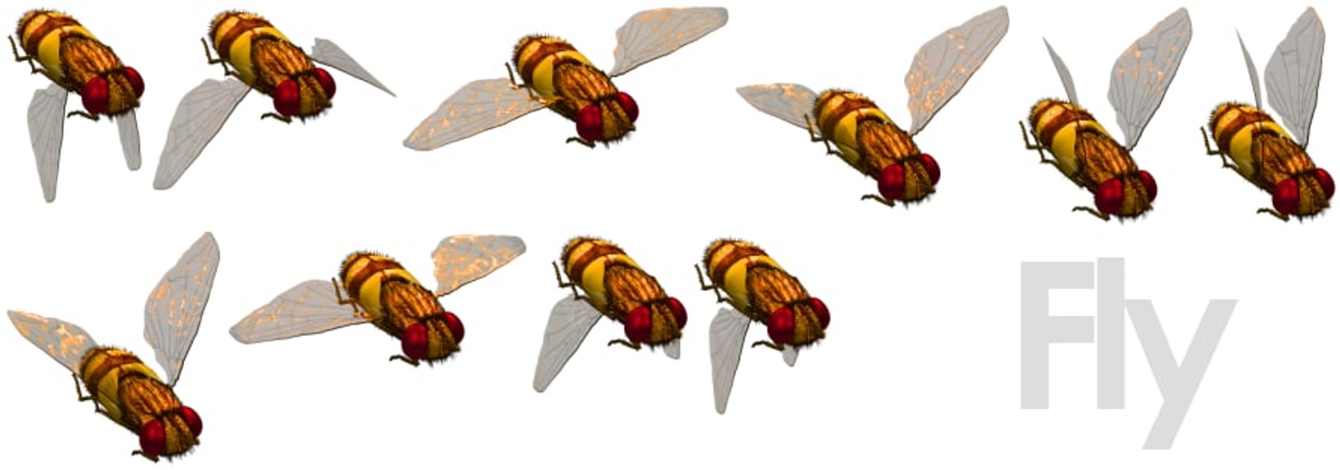 Animated Flying Insects. Dead Insects. Splatters. - TurboSquid 748287