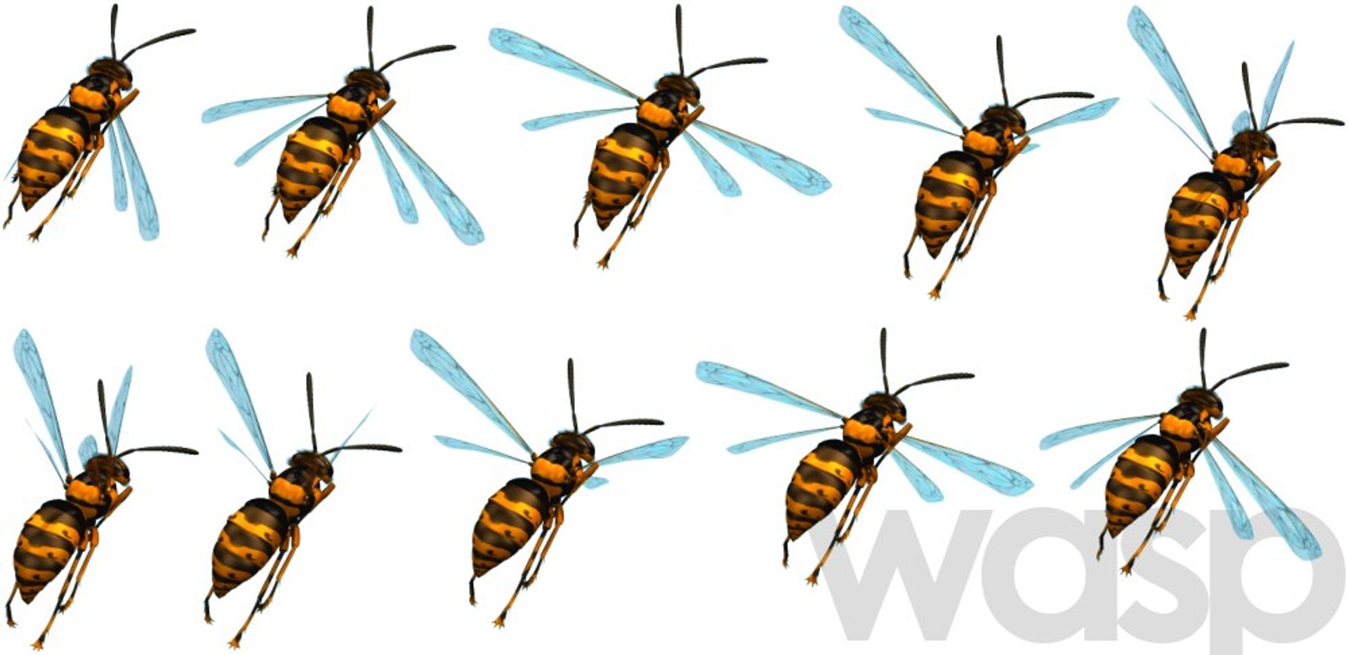 Animated Flying Insects. Dead Insects. Splatters. - TurboSquid 748287