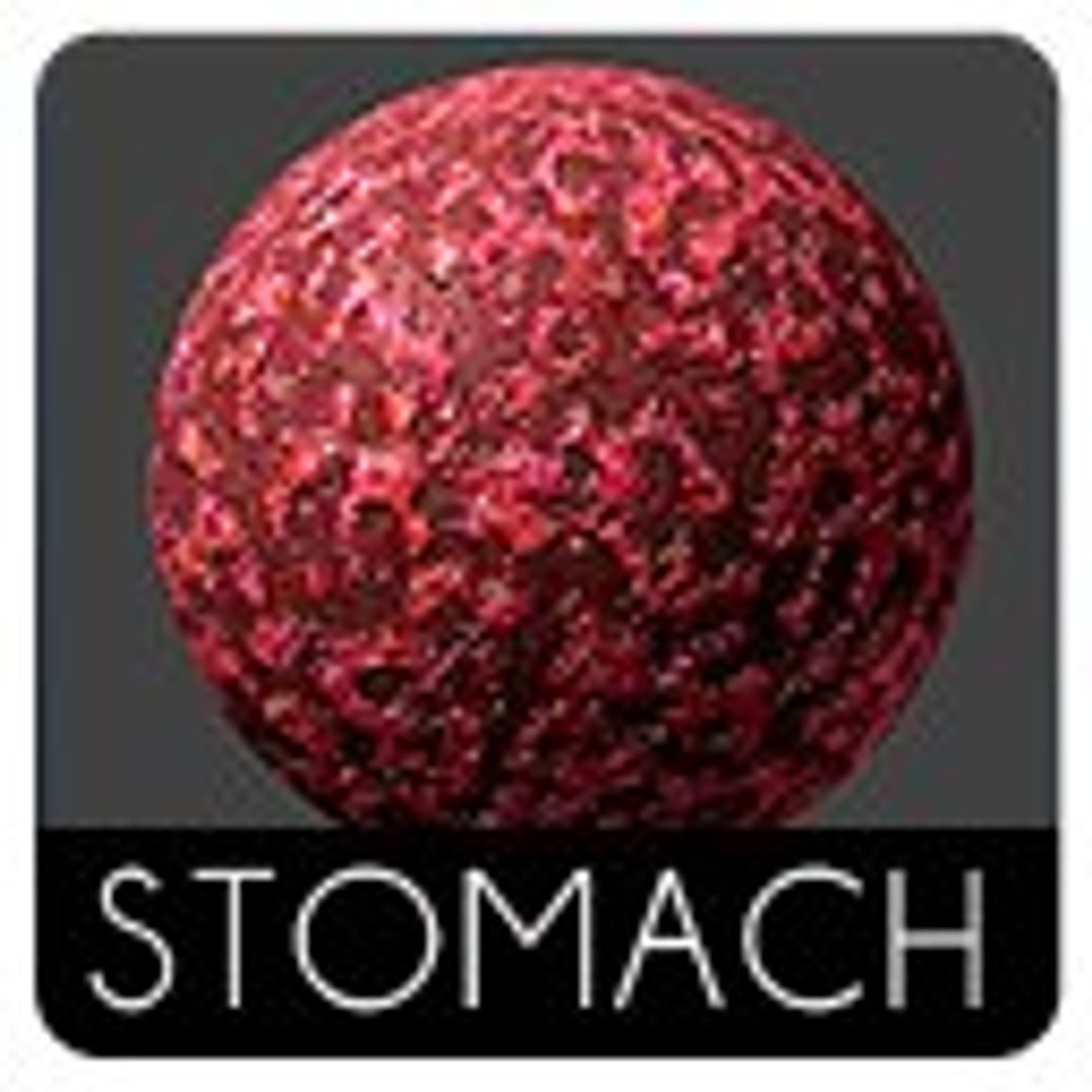 Stomach Anatomy Texture - TurboSquid 815945