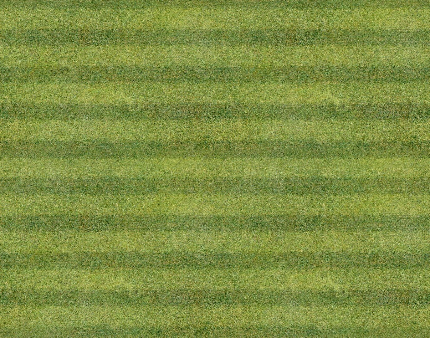 Striped Grass Field - TurboSquid 788906