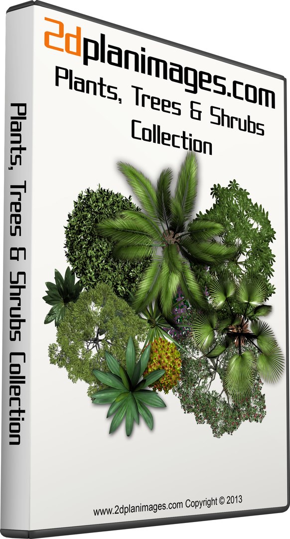 2d Floorplan Plants, Trees & Shrubs Collection Overhead & topdown views ...