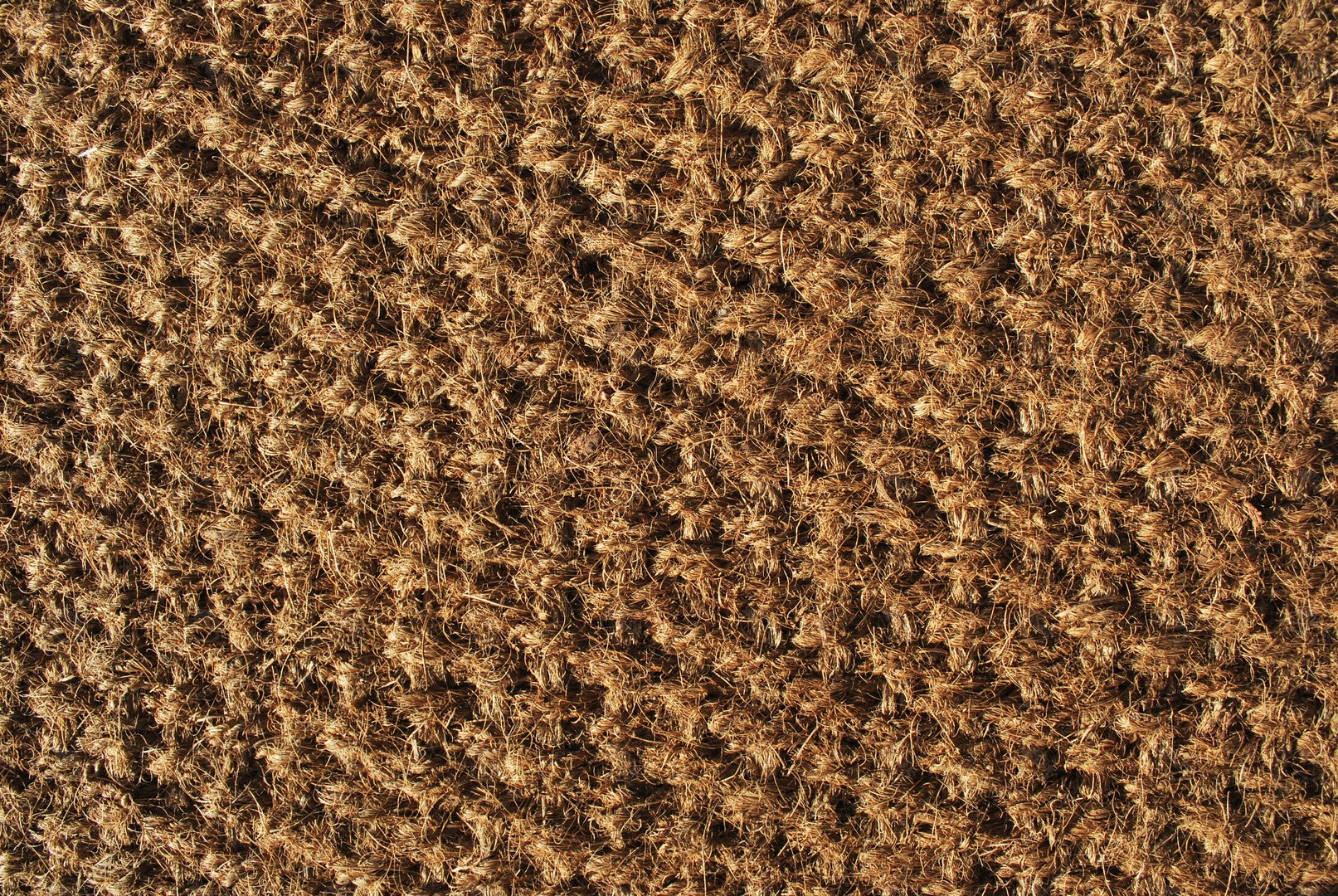 Carpet_Texture_0012 - TurboSquid 874822