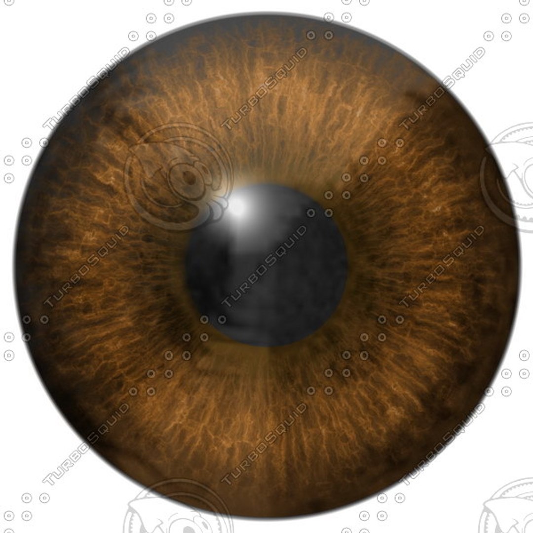 Eye Iris 15x Textures - TurboSquid 882083
