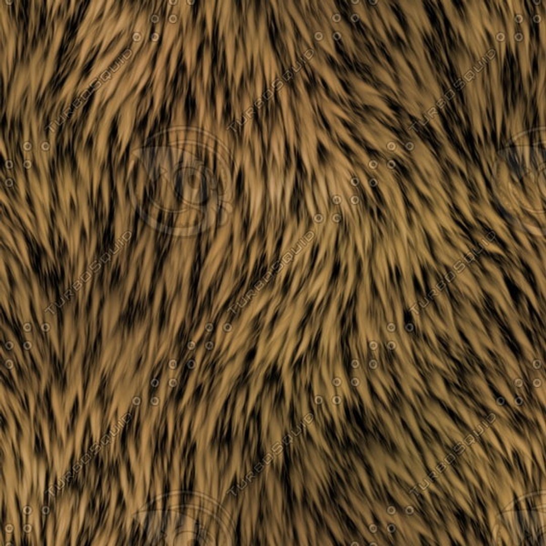 Fur 6x Seamless Textures - TurboSquid 882136