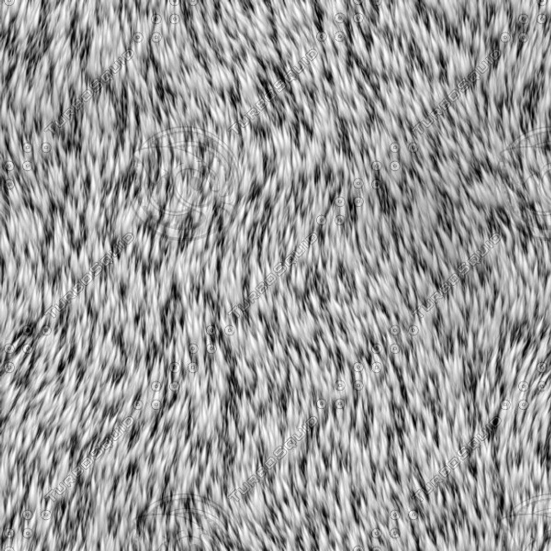 Fur 6x Seamless Textures - TurboSquid 882136