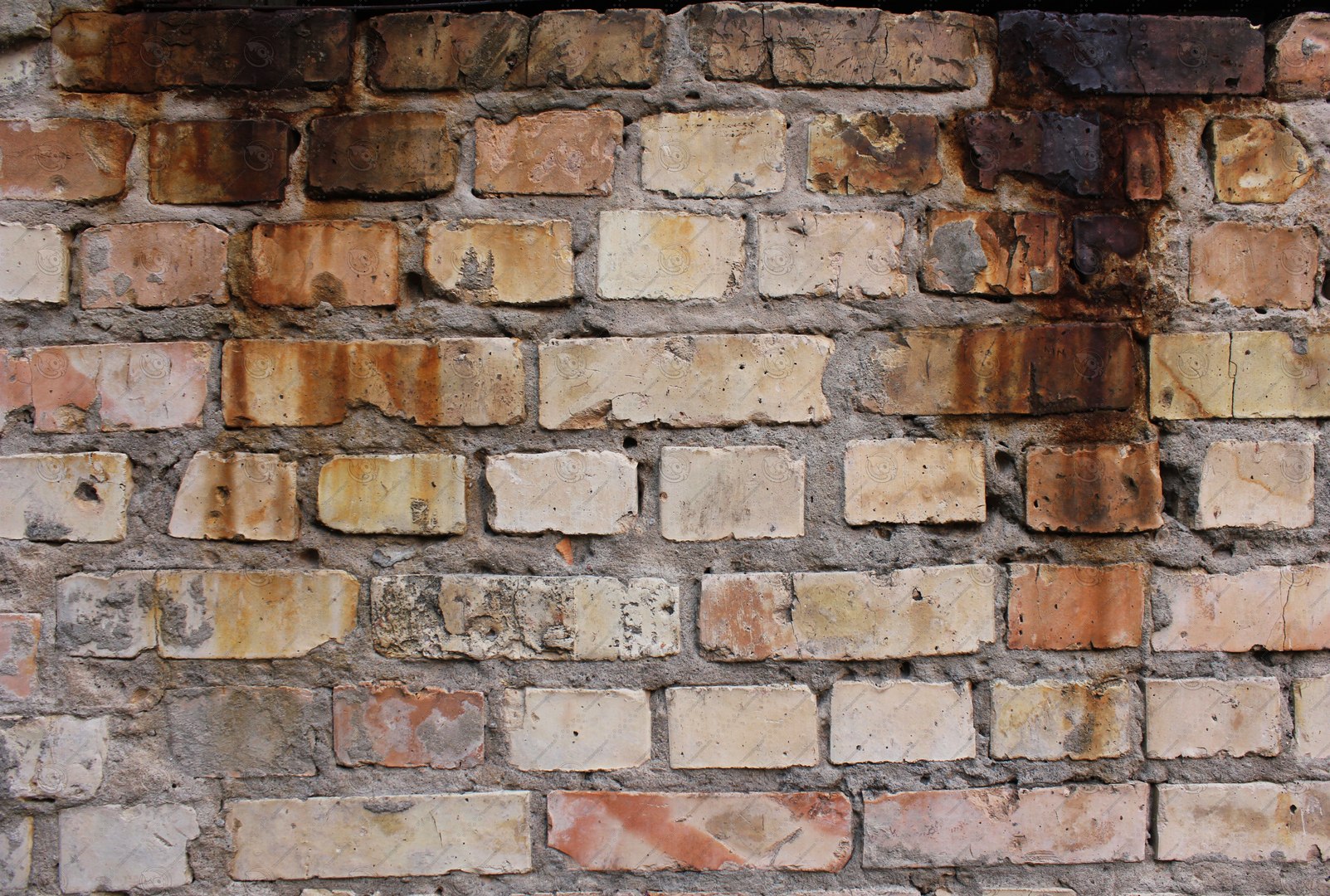 Old Bricks Textures - TurboSquid 916974