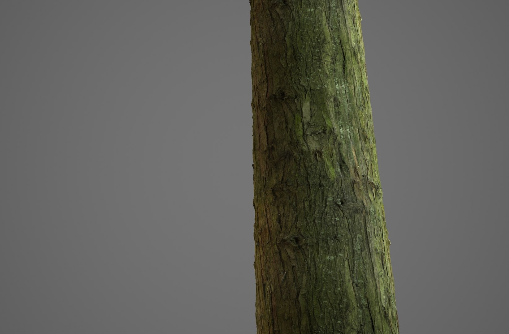 Tree Bark Tileable Texture Pack - TurboSquid 946063