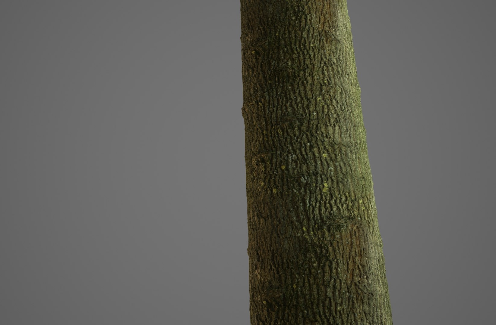 Tree Bark Tileable Texture Pack - TurboSquid 946063