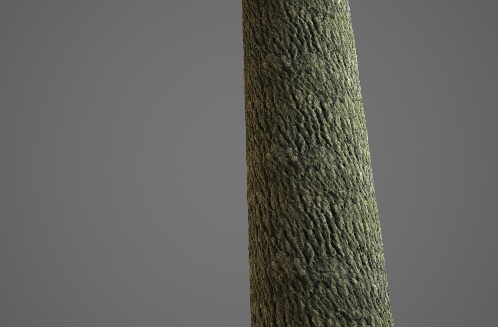 Tree Bark Tileable Texture Pack - TurboSquid 946063