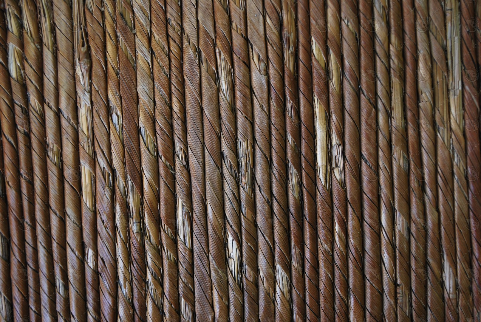 Reeded_Texture_0006 - TurboSquid 969443