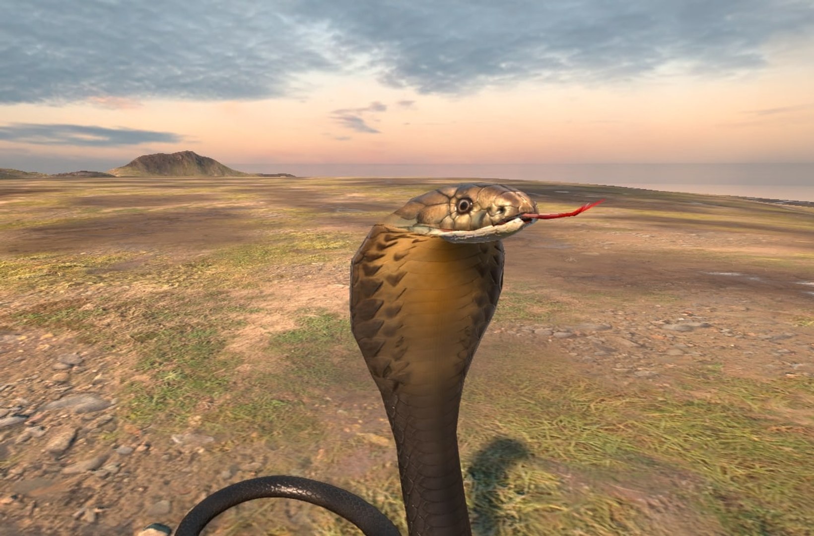 3d Model Cobra Rigged Animations