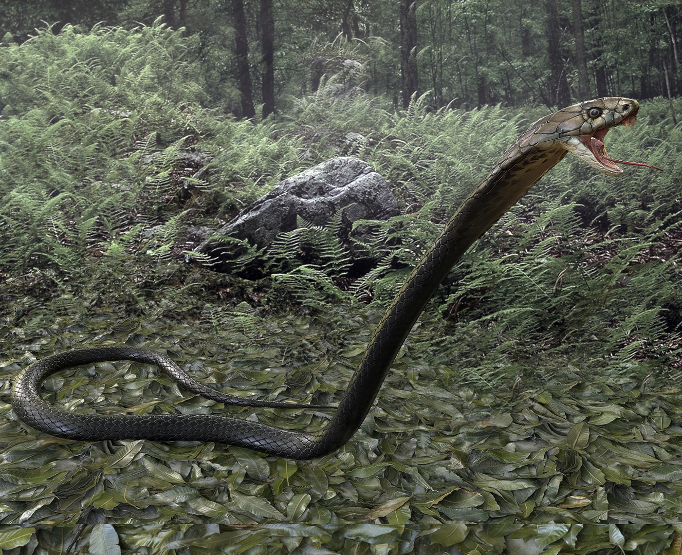 3d Model Cobra Rigged Animations