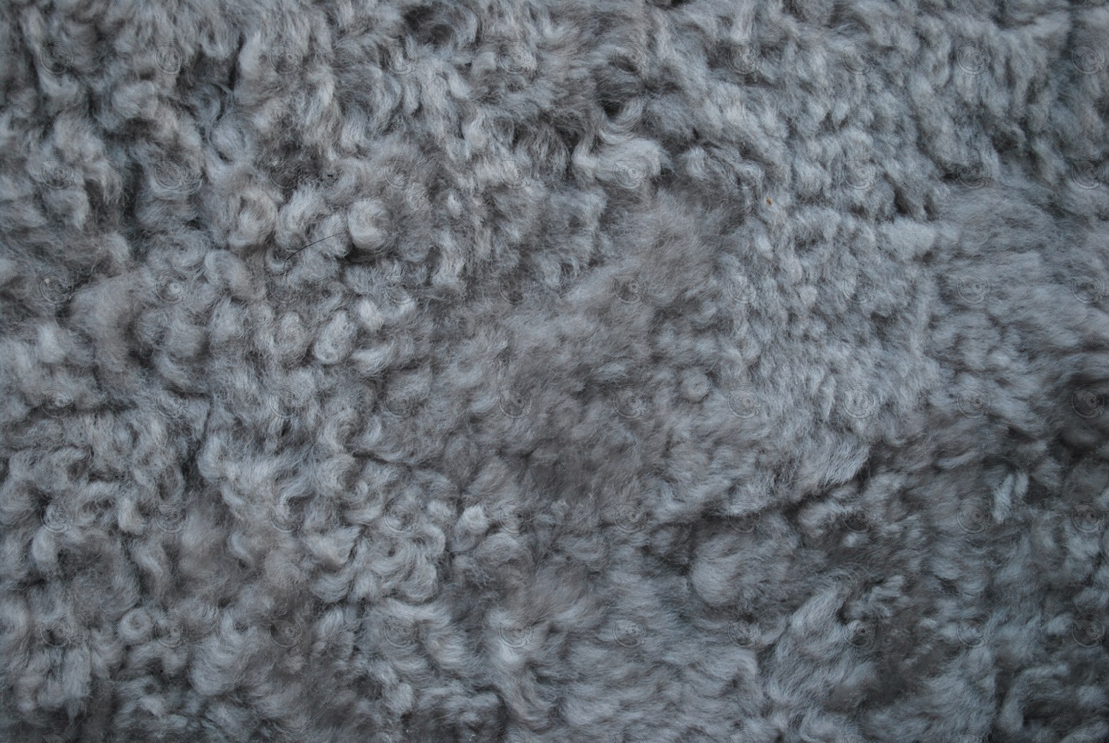Fur_Texture_0014 - TurboSquid 993862