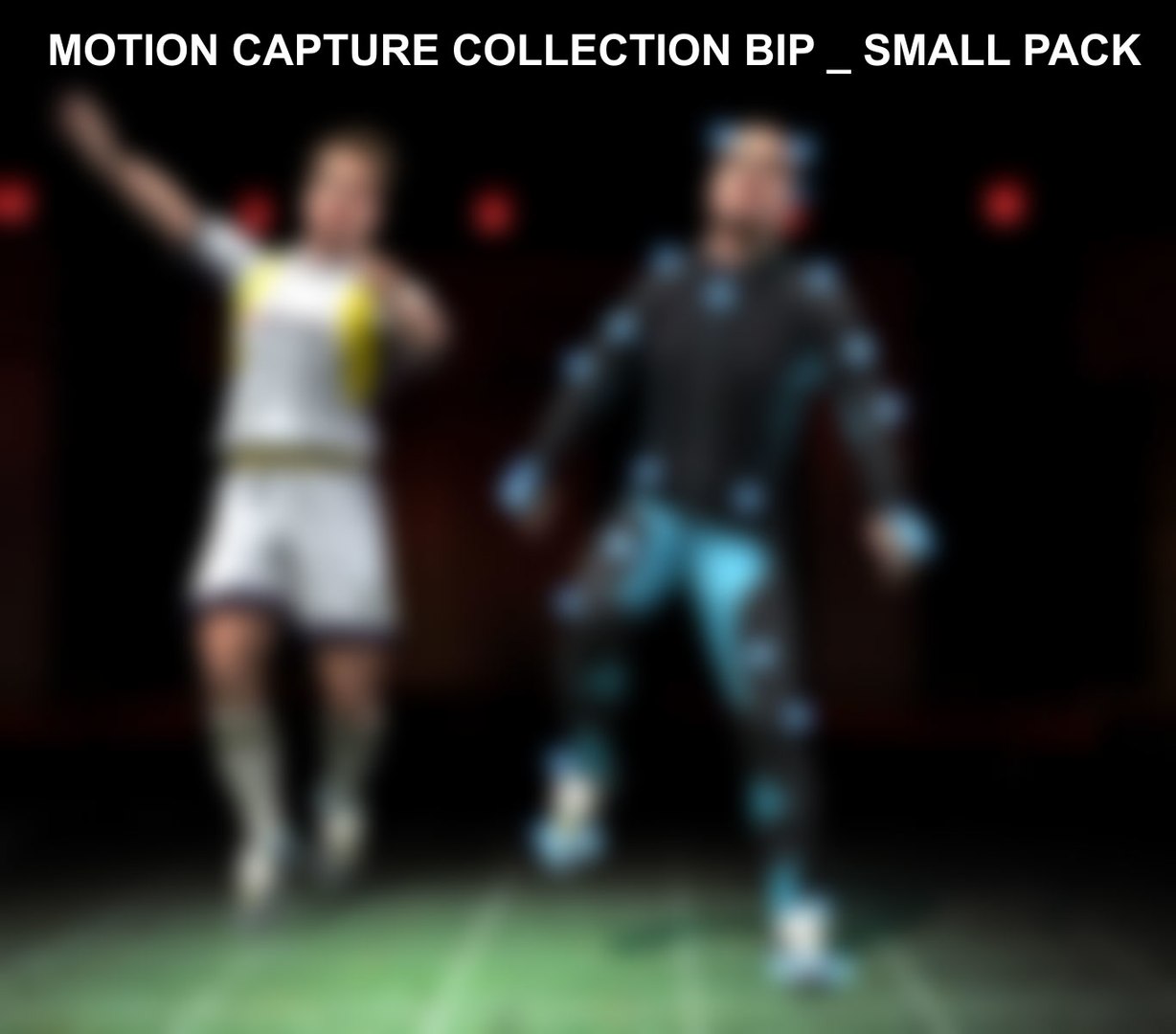 Motion Capture Collection BIP _ small pack - TurboSquid 1013552
