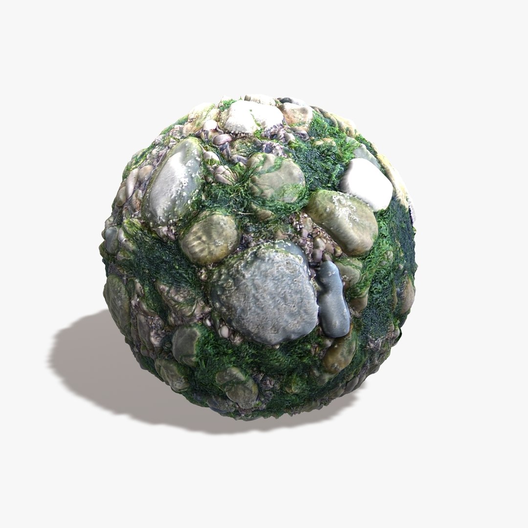 Sea Weed Rocks Texture - TurboSquid 1019417