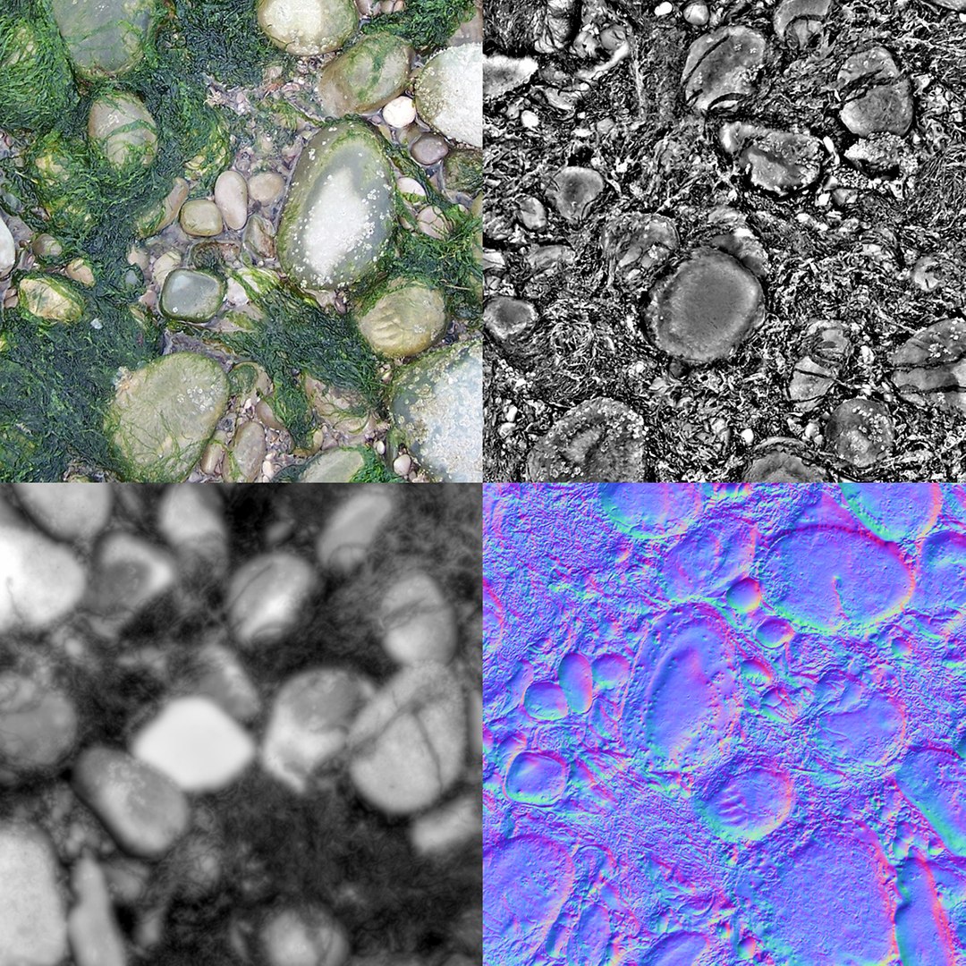 Sea Weed Rocks Texture - TurboSquid 1019417