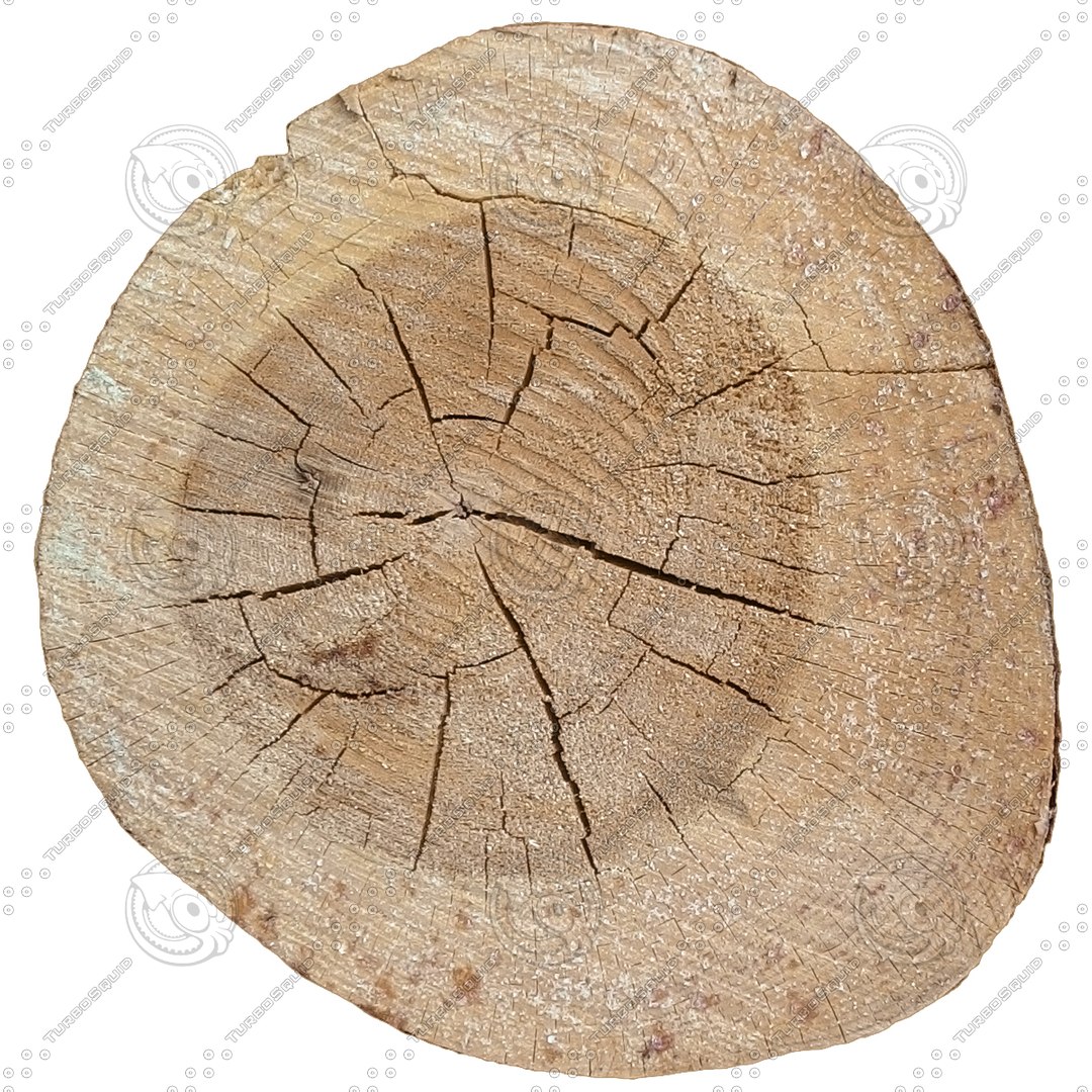 Wood End Textures - TurboSquid 1033491