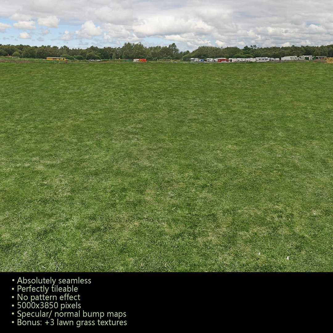 Lawn Grass Texture - TurboSquid 1027076