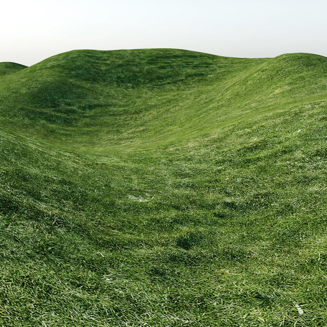 Lawn Grass Texture - TurboSquid 1027076