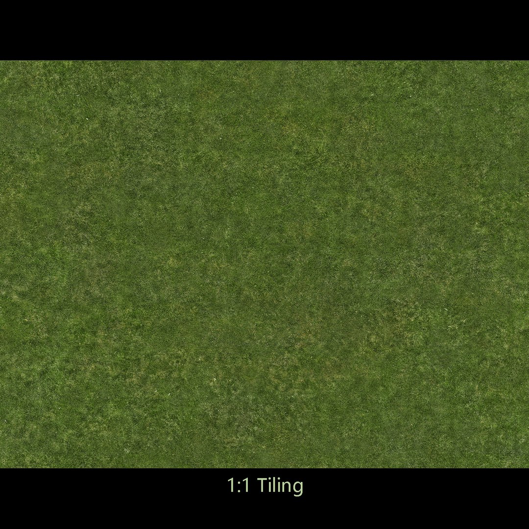Lawn Grass Texture - TurboSquid 1027076