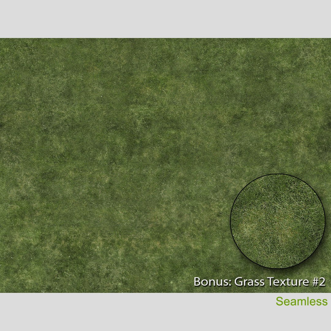 Lawn Grass Texture - TurboSquid 1027076