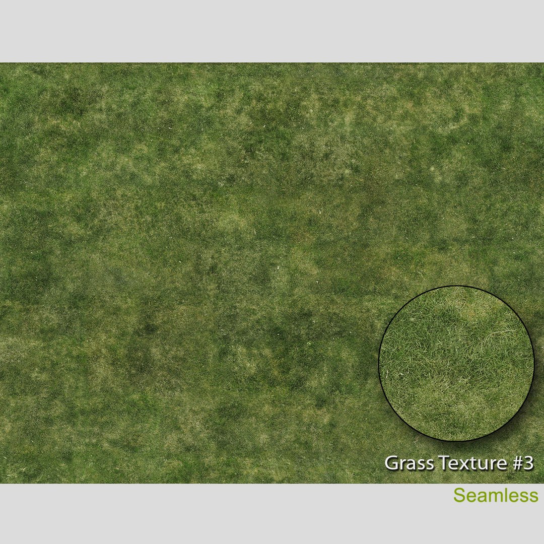 Lawn Grass Texture - TurboSquid 1027076