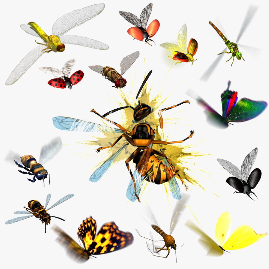 Animated Flying Insects. Dead Insects. Splatters. - TurboSquid 748287