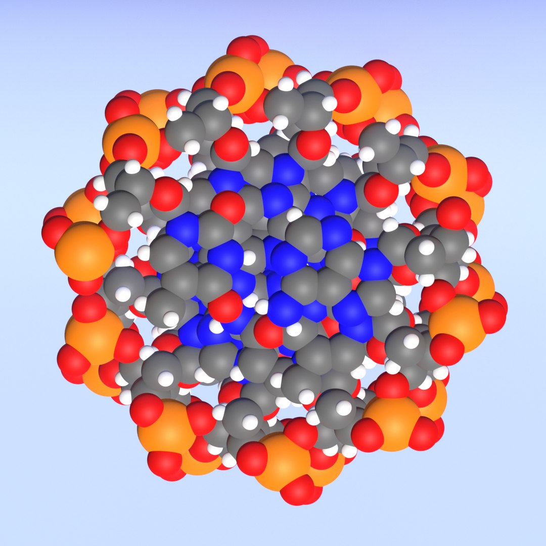 Accurate Space-filling Dna Helix 3d Model