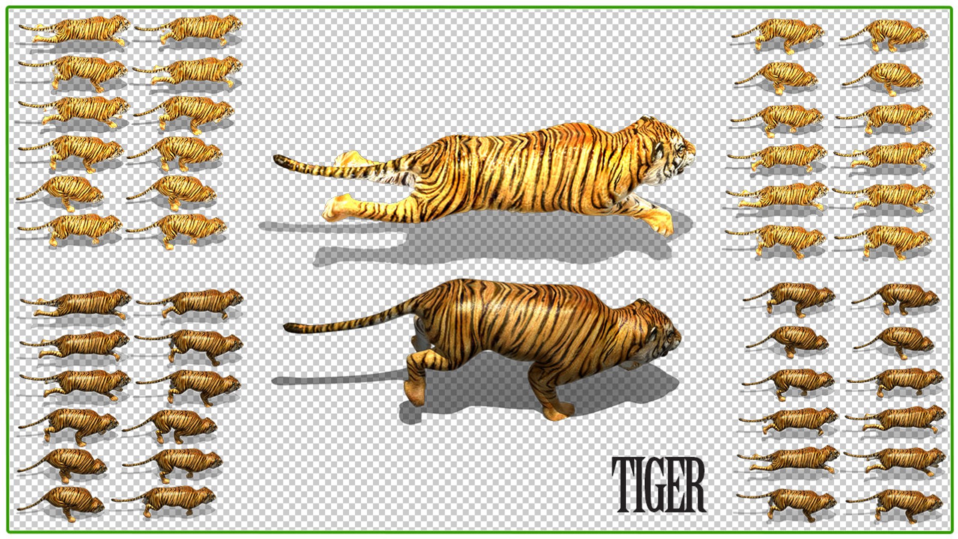 2D Animated Animals - TurboSquid 1109538