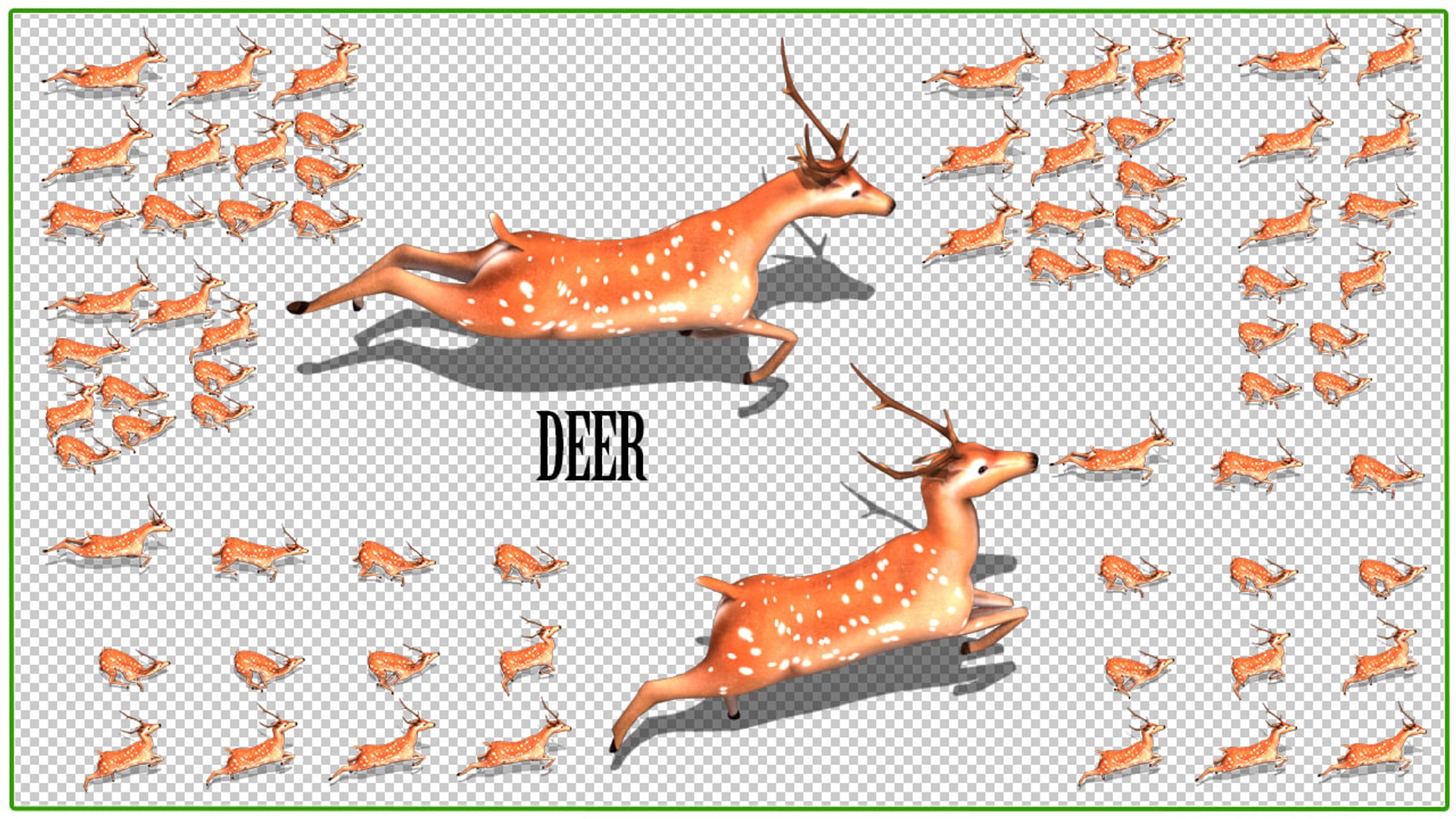 2D Animated Animals - TurboSquid 1109538