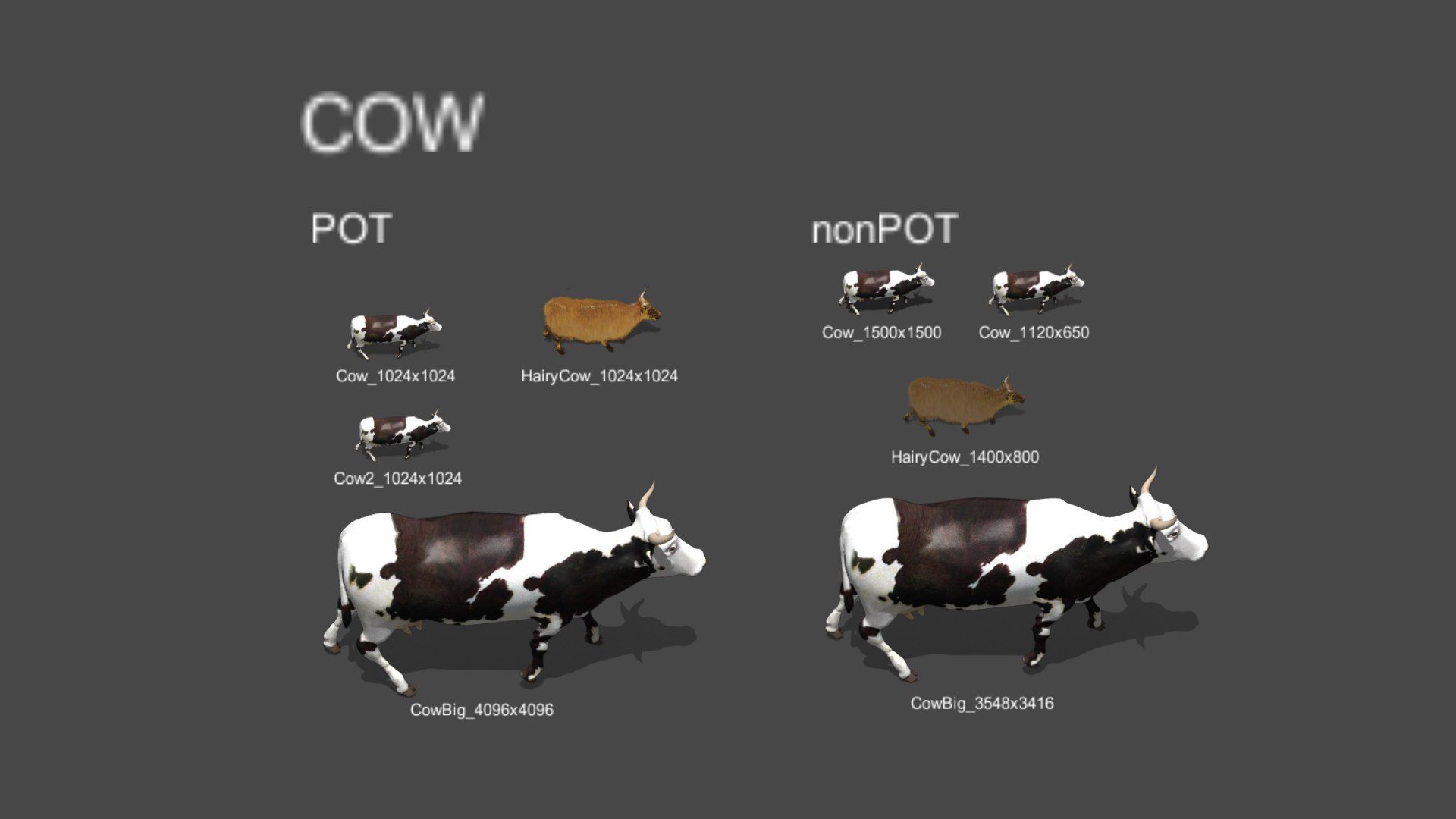 2D Animated Animals - TurboSquid 1109538