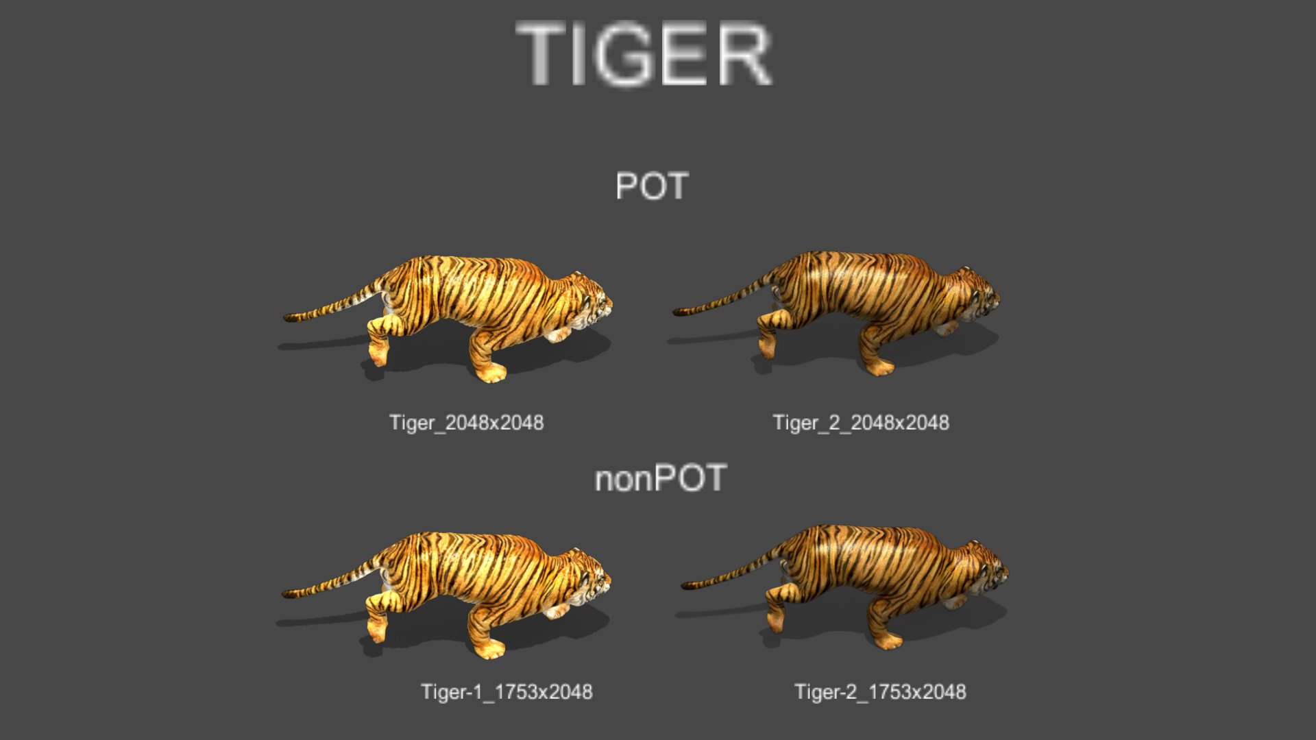 2D Animated Animals - TurboSquid 1109538