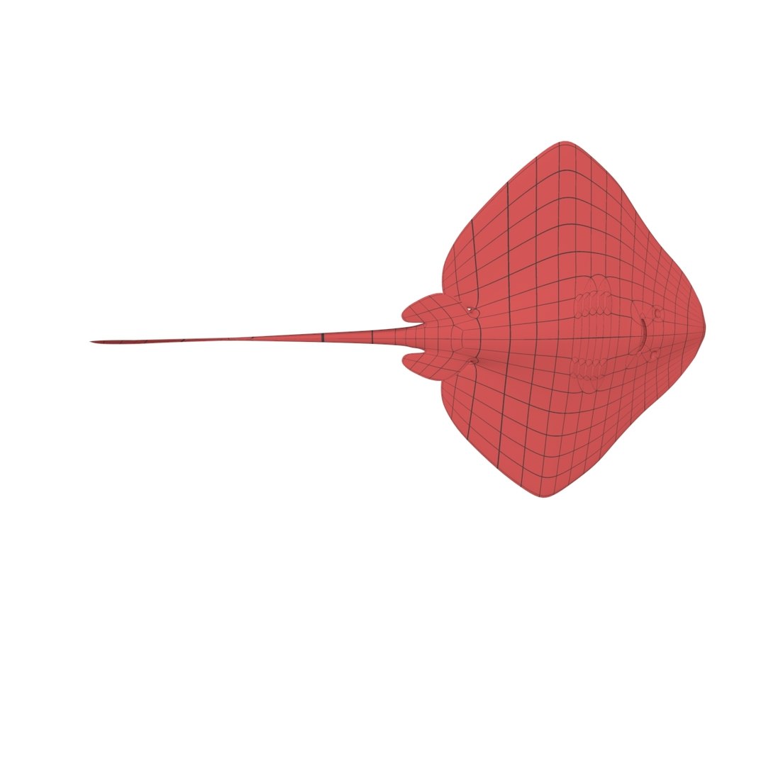 3d Model Base Mesh Stingray Fish