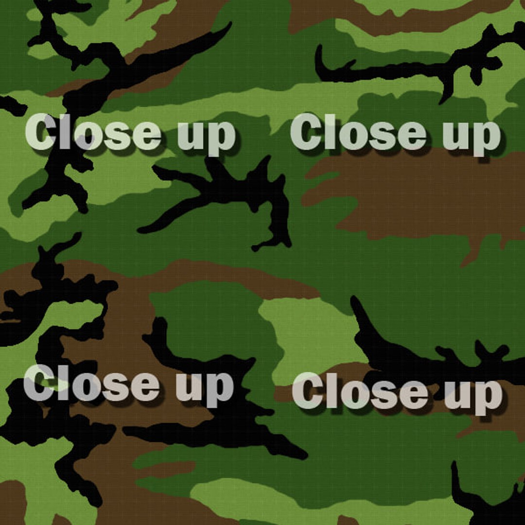 CAMO M81 Woodland ERDL Pattern - TurboSquid 1192276